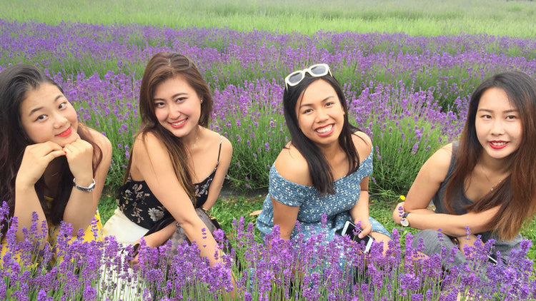 Lavender Farm Rules & Visitor Tips – Lavender Backyard Garden®